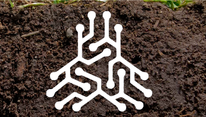 Workshop «The Soil Web: Underground Information Highways» | Journées ...